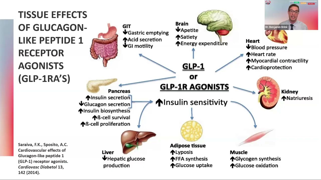The Lipid Panel - GLP-1 Receptor Agonists, Weight Loss & Cardiometabolic Health - Apr 2024