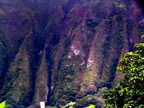 MVI_0181.AVI