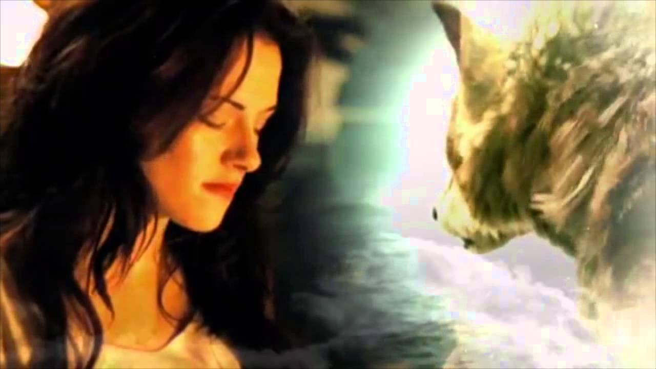 A New Twilight Series: Eclipse ll Wattpad Trailer