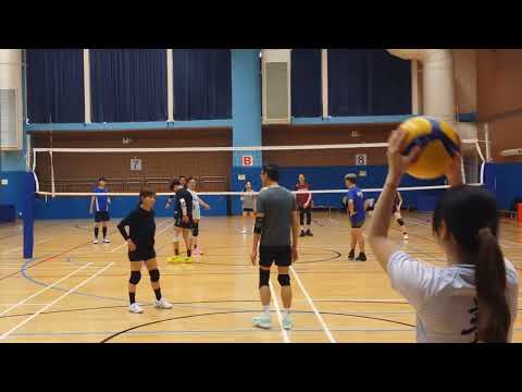 VBCARef6Set8