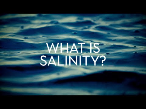 St. Johns Riverkeeper: What is Salinity?