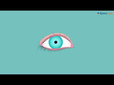 What is the Blind Spot of the Eye? Video Lecture - Science Class 8
