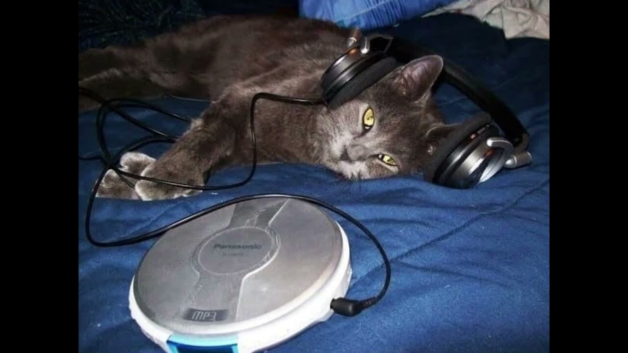 1 hour of midwest emo for losers