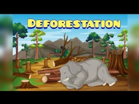 What is desforestation ? |In english | Achievement