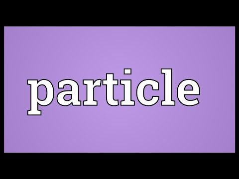 Particle Meaning