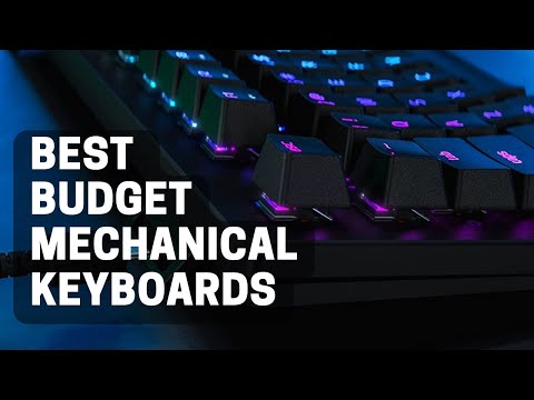 5 Best Budget Mechanical Keyboards For 2023