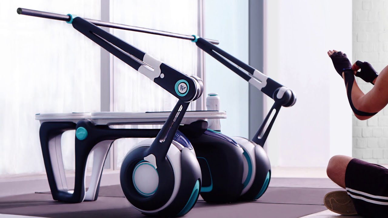 Red Dot Award: Design Concept - WisFit