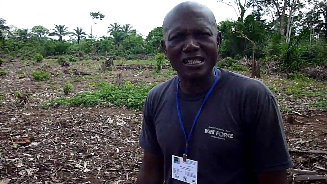 Biochar in Congo - production