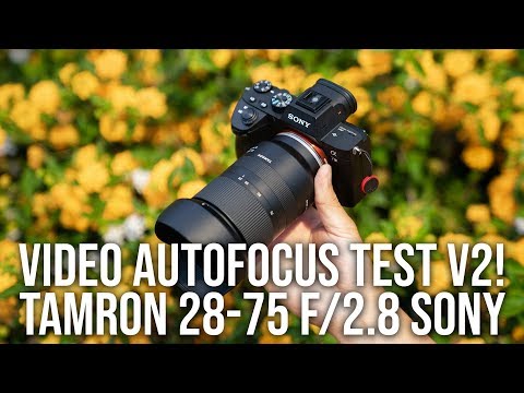 AutoFocus Firmware for Tamron 28-75mm f/2.8 Coming Soon! + Sony a7III Video AF Test v2
