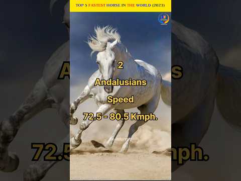 Top 5 Fastest Horse In The World ???? #speed #shorts