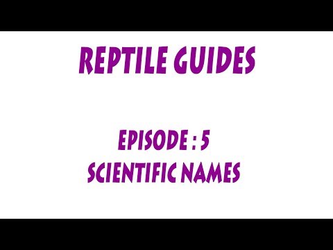 S'N'A GUIDES : Latin or Scientific Names (a basic introduction)