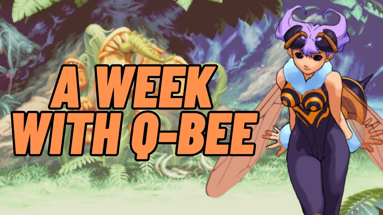 I Played Q-Bee For A Week And Now I'm Hooked