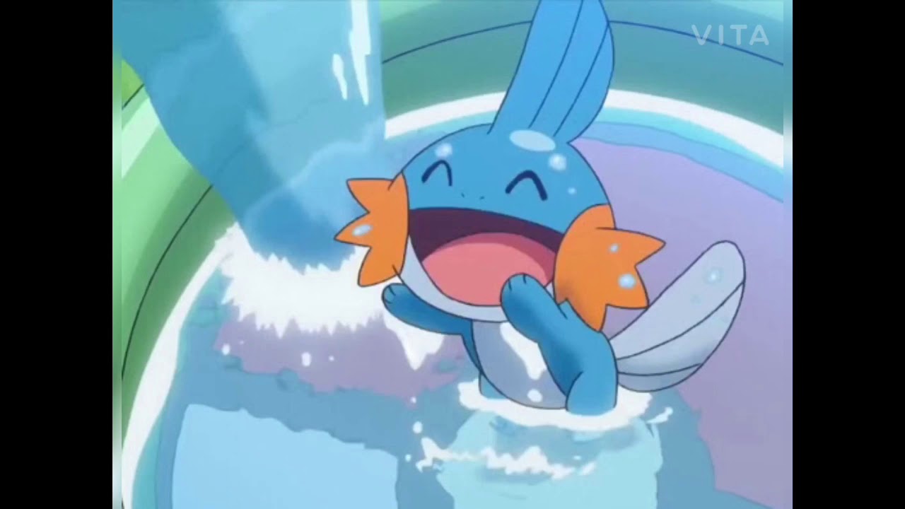 Mudkip Compilation