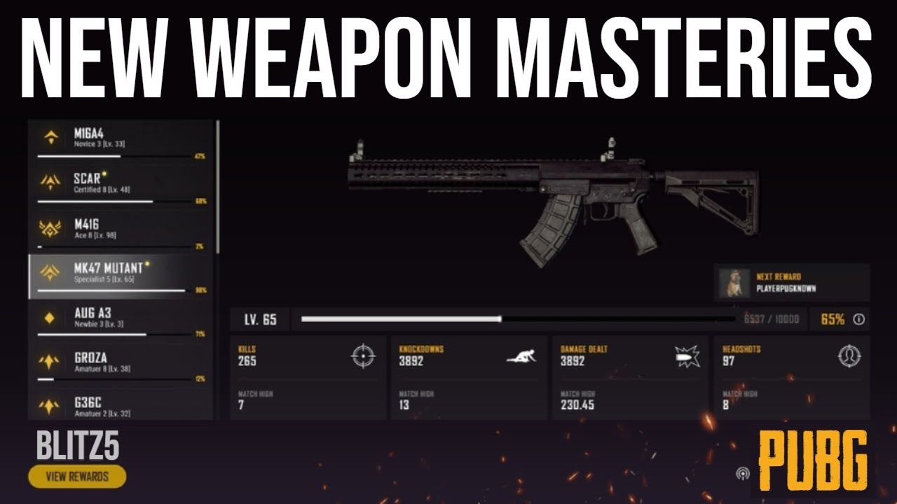 Weapon Mastery System coming to PUBG