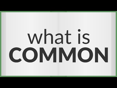 Common | meaning of Common