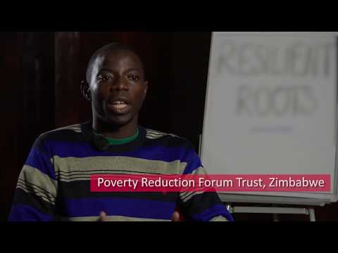 Does accountability build trust and legitimacy?