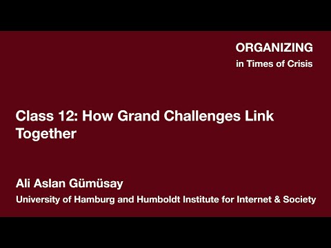 Class 12: How Grand Challenges Link Together | Organizing in Times of ...