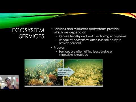 Chapter 1 Ecosystem Services