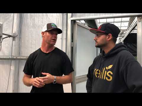 Trellis Travels: Episode 4 "Glass House Farms"
