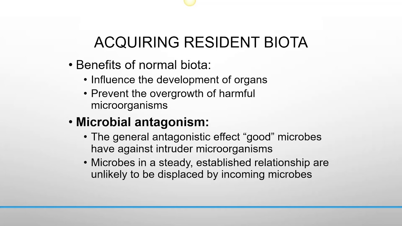 Intro to Host Microbe Interactions