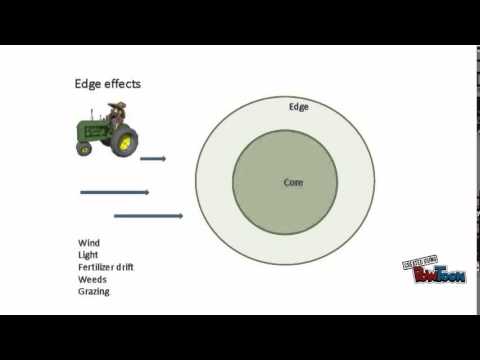 Habitat loss and biodiversity