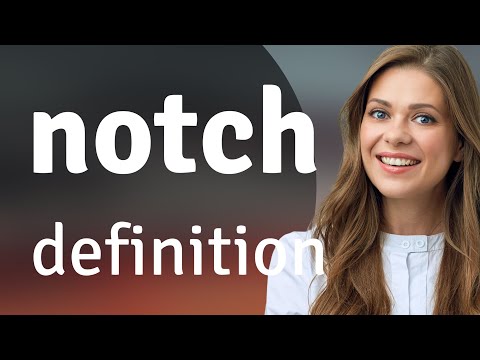 Notch | NOTCH meaning