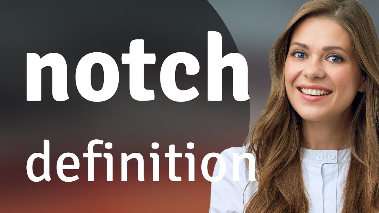 Notch | NOTCH meaning