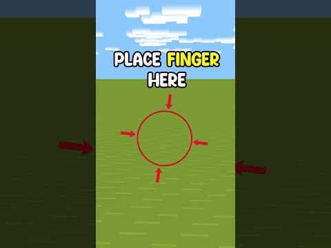 Play With Ayush in Minecraft 😱