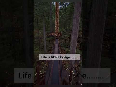 Crossing Life's Bridge: A Journey of Challenges and Beauty #life #happy #motivation #shorts #dream