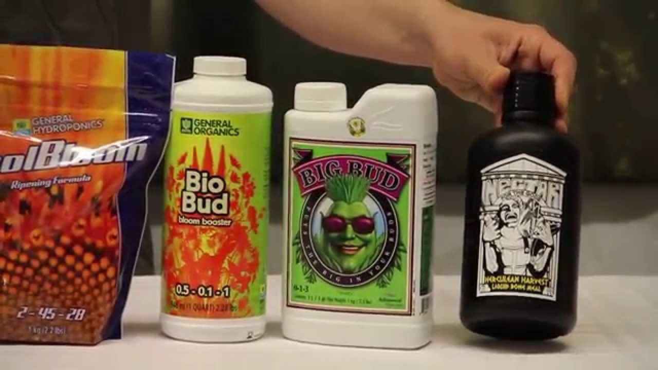 How to Use PK Boosters