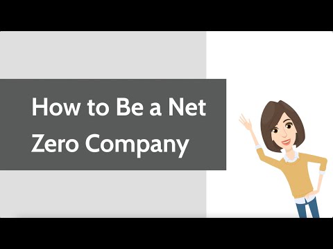 How to Be a Net Zero Company