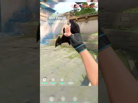 Beta Reaver Right Click Animation #valorant