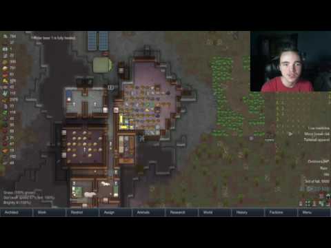 Steam Community :: Video :: BUILD A WALL! Rimworld Alpha 16 #4