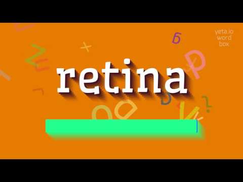 How to say "retina"! (High Quality Voices)