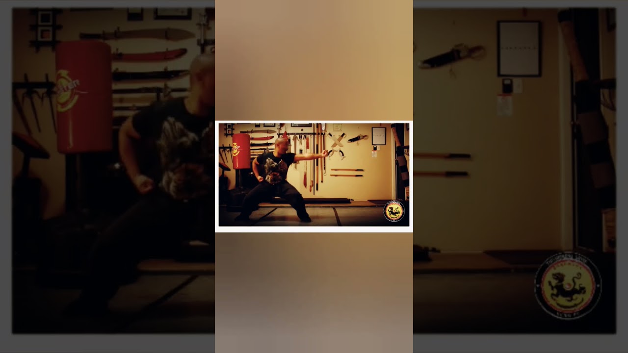 3rd section of Yi Lu ChangQuan (First Road of Longfist)