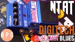 DigiTech DSB Screamin' Blues - What To Know & Where To Buy | Equipboard