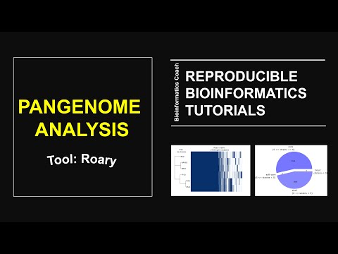 Roary pan genome tutorial | Bioinformatics tutorial on Pangenome analysis of bacterial genomes