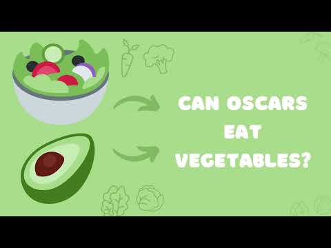 The Best Vegetables for Oscars: A Nutritional Guide