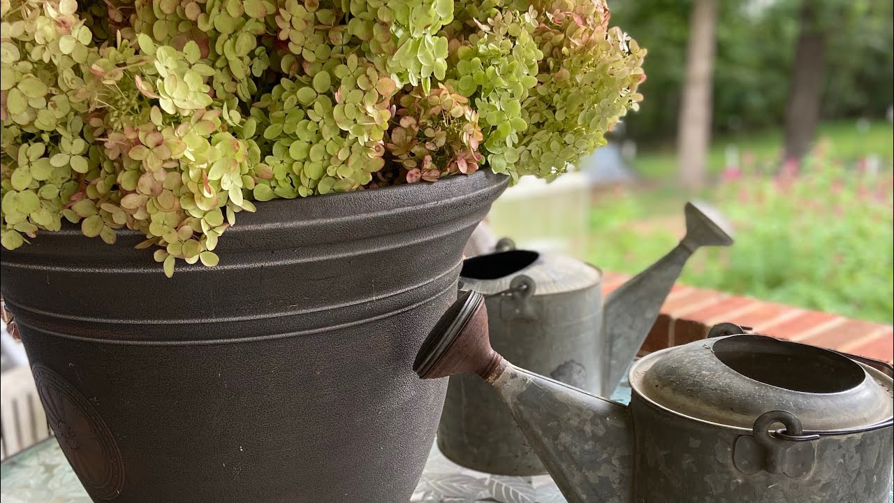 Vintage Watering Cans Video