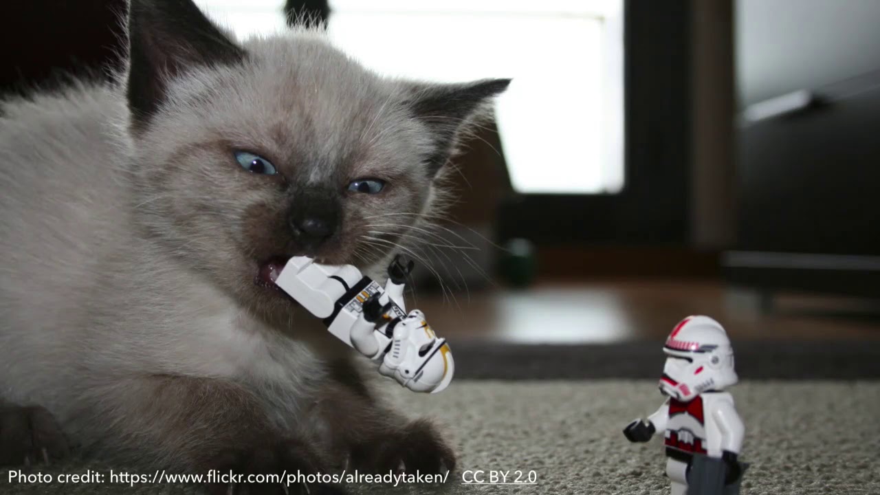 useR! International R User 2017 Conference Solving iteration problems with purrr