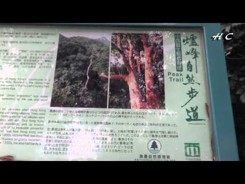This battery in Lung Fu Shan    松林廢堡歷史徑 Canon PowerShot SX700 HS [1080p FULL HD]