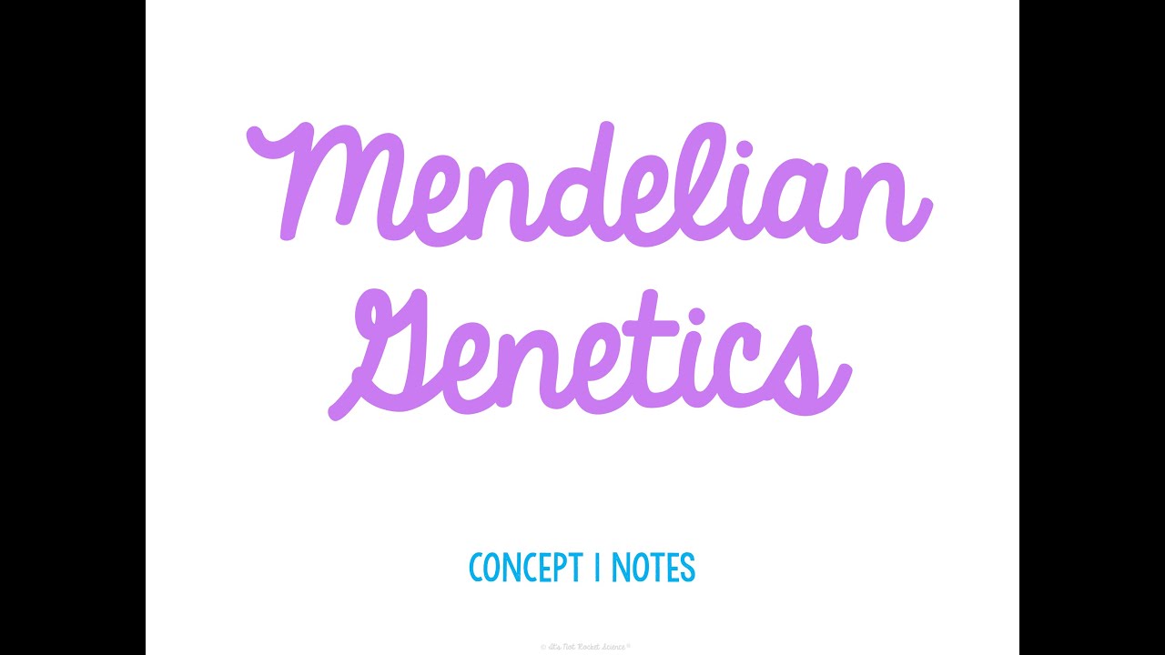 Unit 5 Heredity Concept 1 Notes *UPDATED*