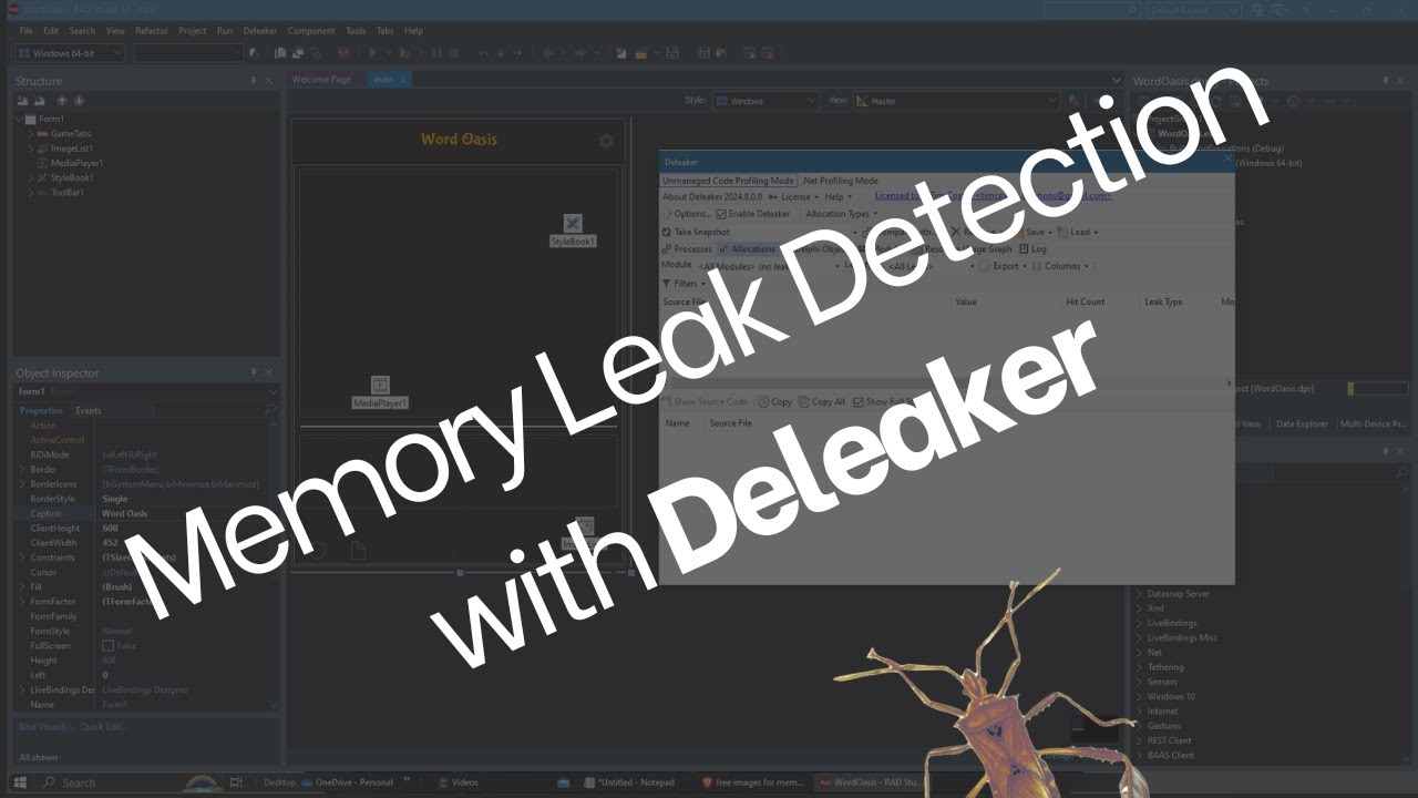 Delving into Delphi: Finding Memory Leaks with Deleaker