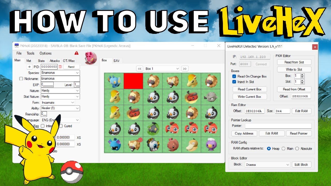 Official LiveHeX Tutorial - PKHeX 2022 Edition