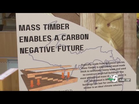 Michigan Tech University partners with Michigan DNR, Michigan State on mass timber construction p...