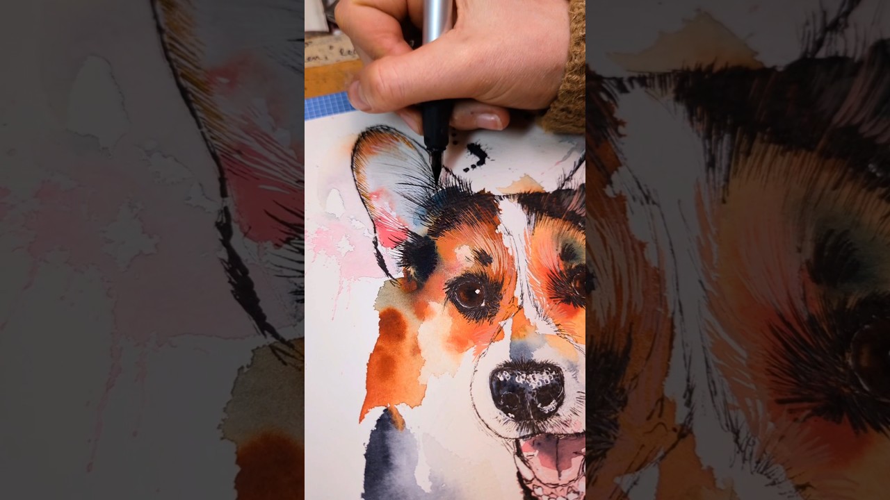 Everyone loves a #corgi 🐕 This is Luna #corgicrew #corgilife