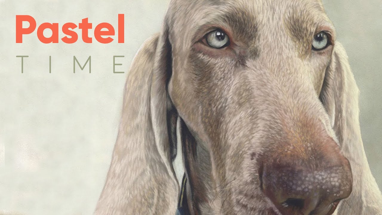 Weimaraner Dog in Soft Pastel on Suede Board - Timelapse
