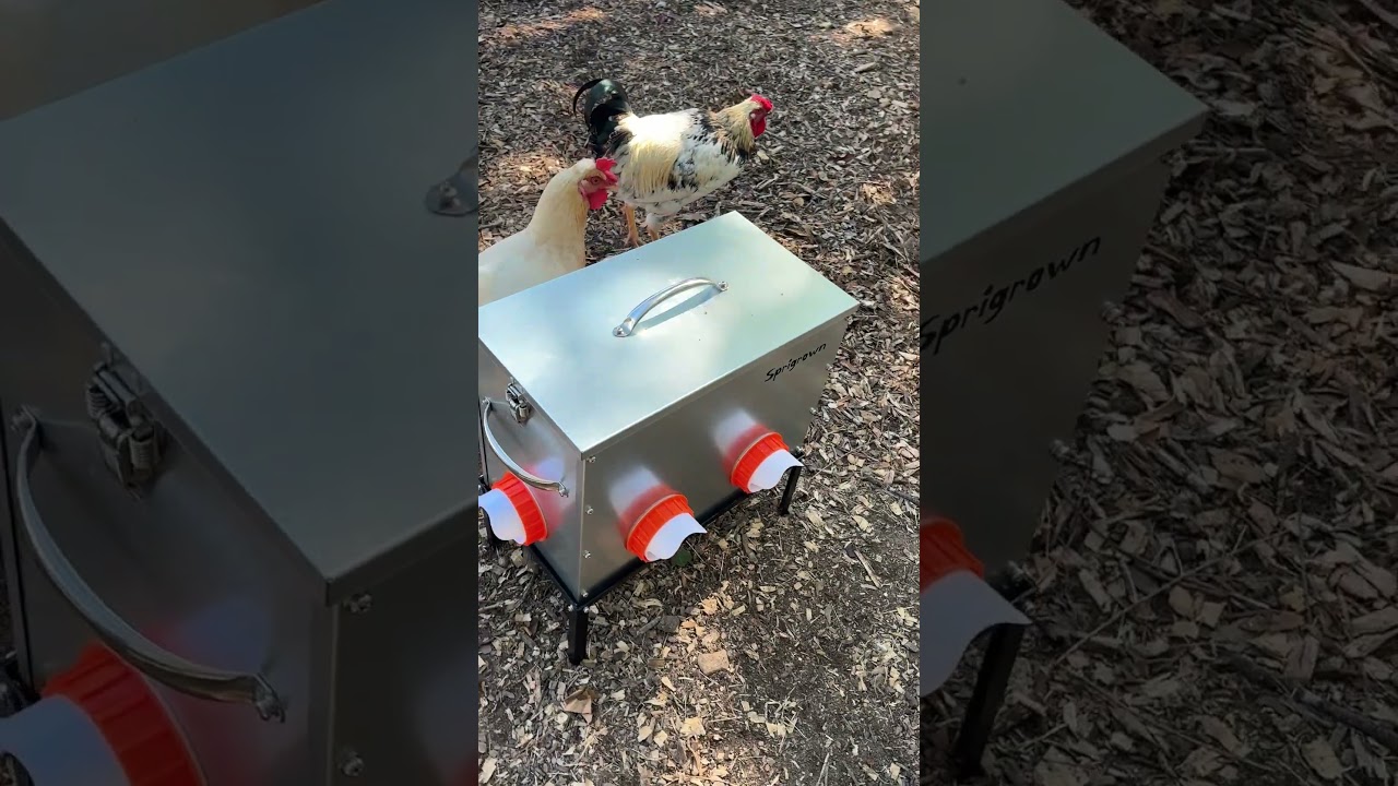 40 lb Metal Chicken Feeder, Chicken Feeders No Waste - Poultry Feeder with Feed Window, Automatic