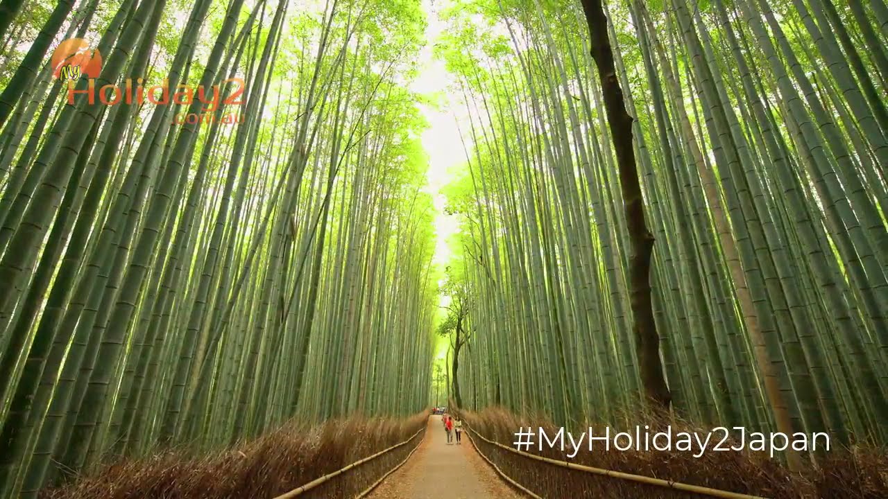 Japan Tours by MyHoliday2