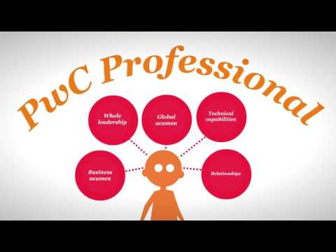 The PwC Professional